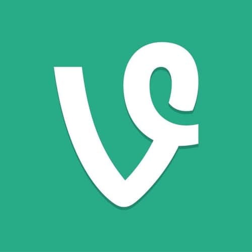 Why Did Vine Shut Down? Here're the 5 main reasons!