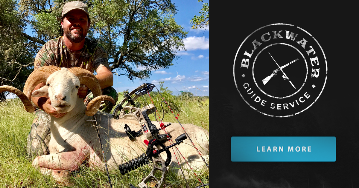 Texas Dall - $1750 - Pricing, Features, and More