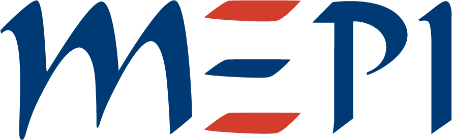 Palestinian Internship Program