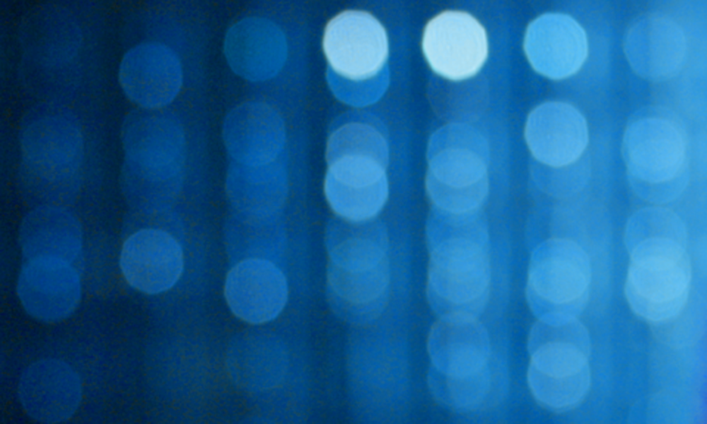 The Ultimate Anamorphic Lens Test - What is Anamorphic?