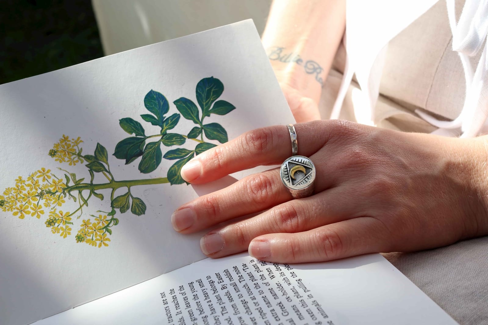 Emu Plains Market | Fresh Produce & Craft Market | Balnarring ...