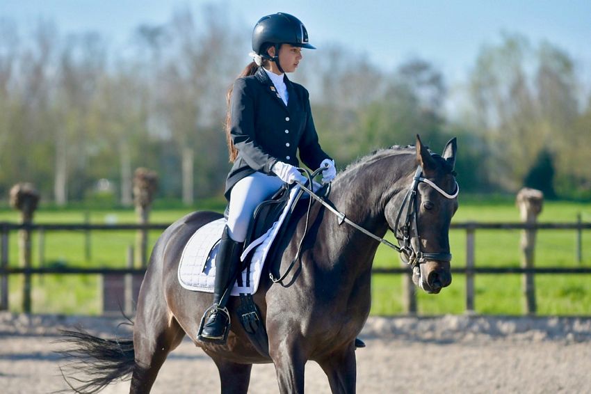 Manege de Prinsenstad | News | Delftse Dressuur Cup Paarden & Pony's