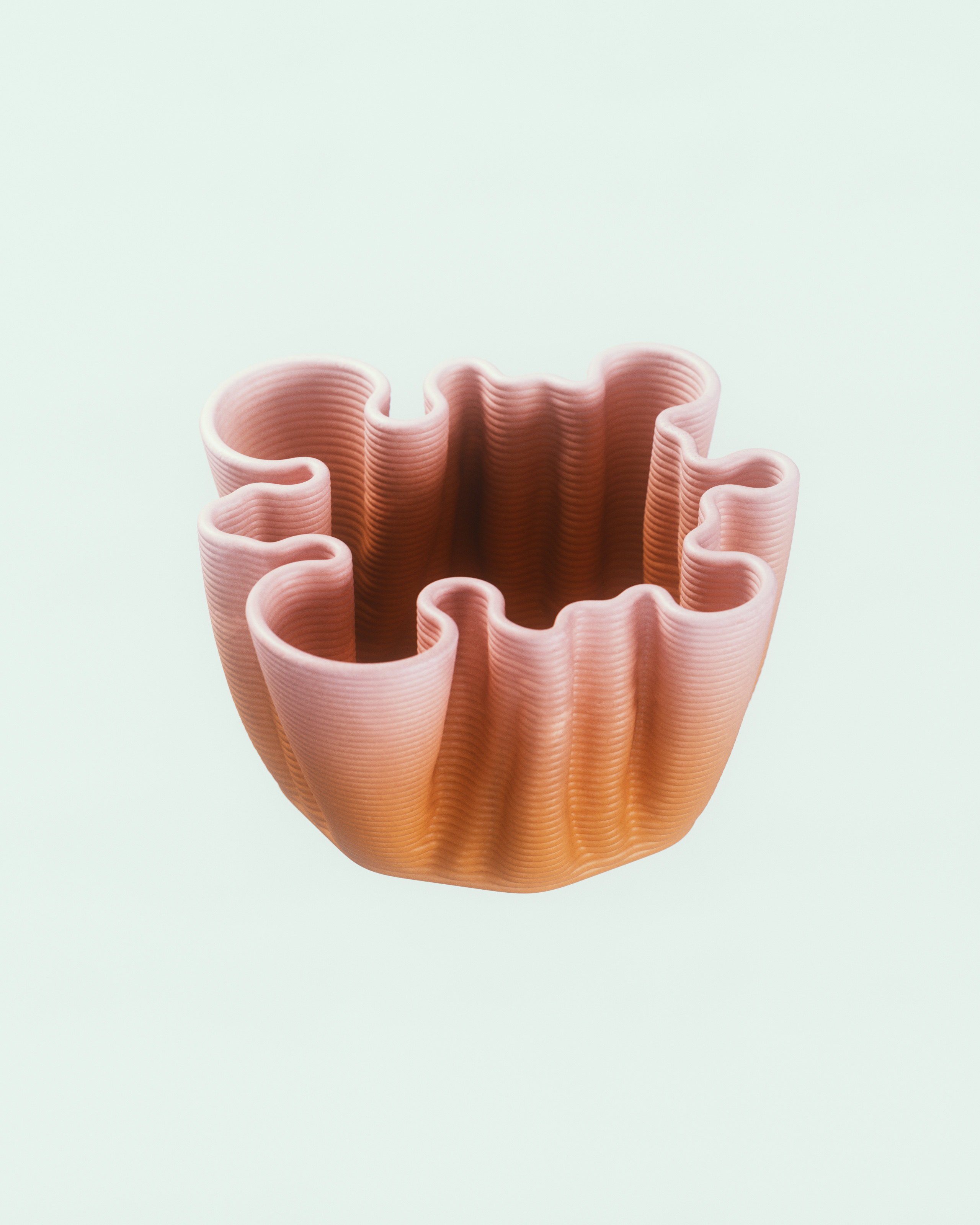 Differential Growth Vases