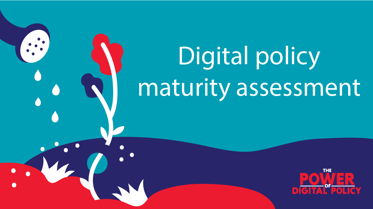 Digital Policy Maturity Assessment