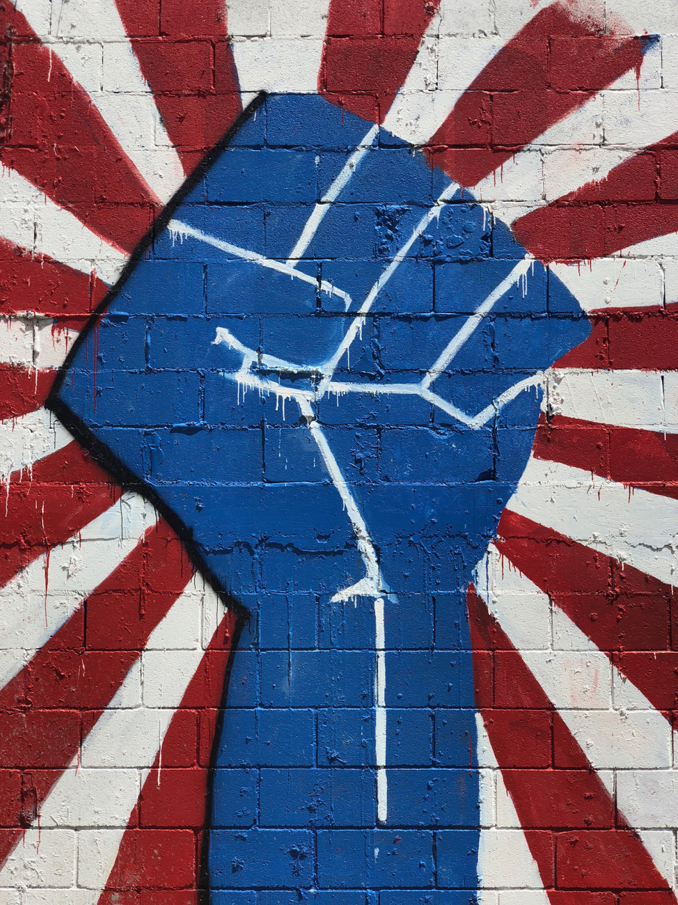 The Election is Over, Now What?