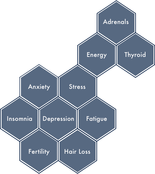 Functional Medicine - Hormonal Systems