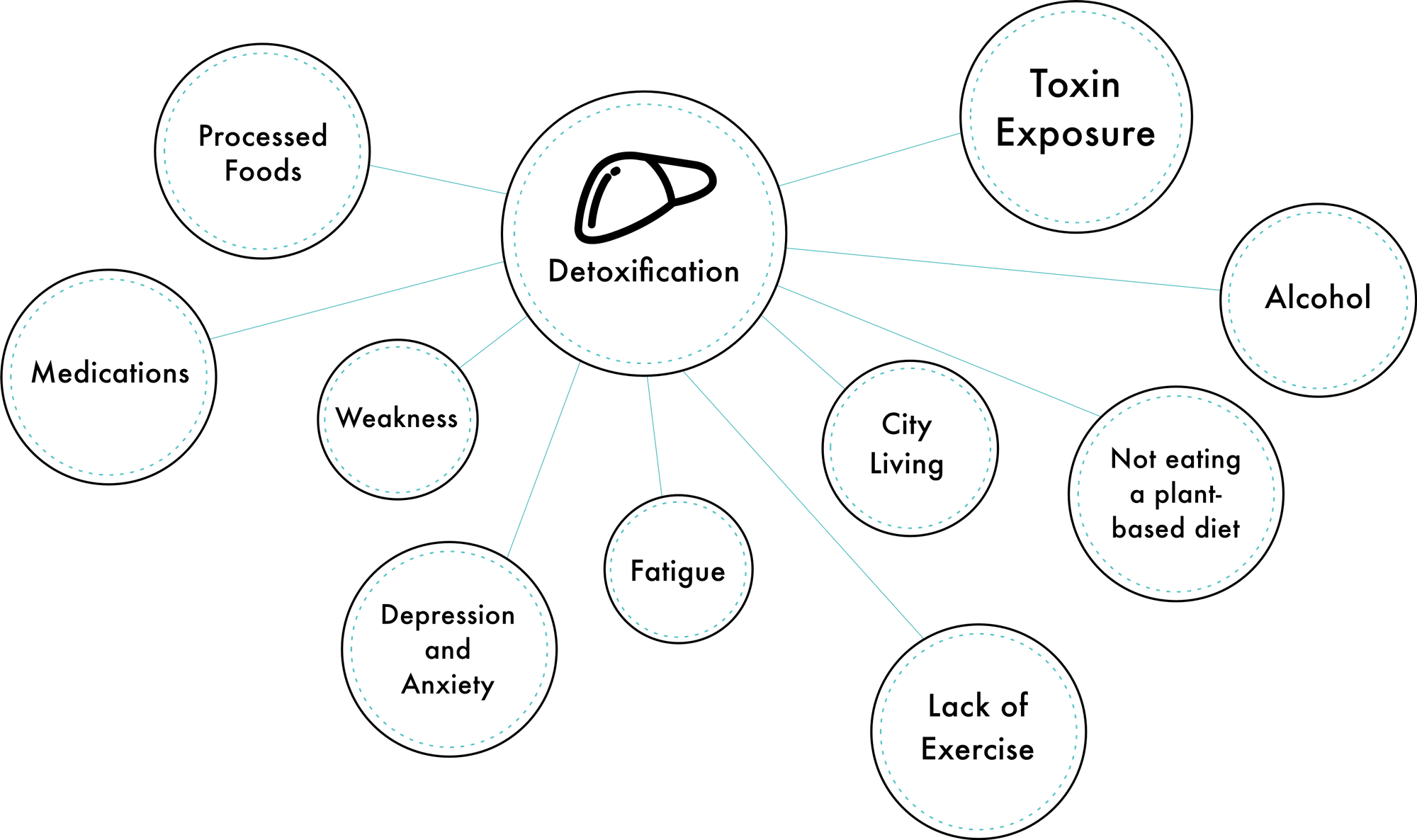 Functional Medicine - Detoxification