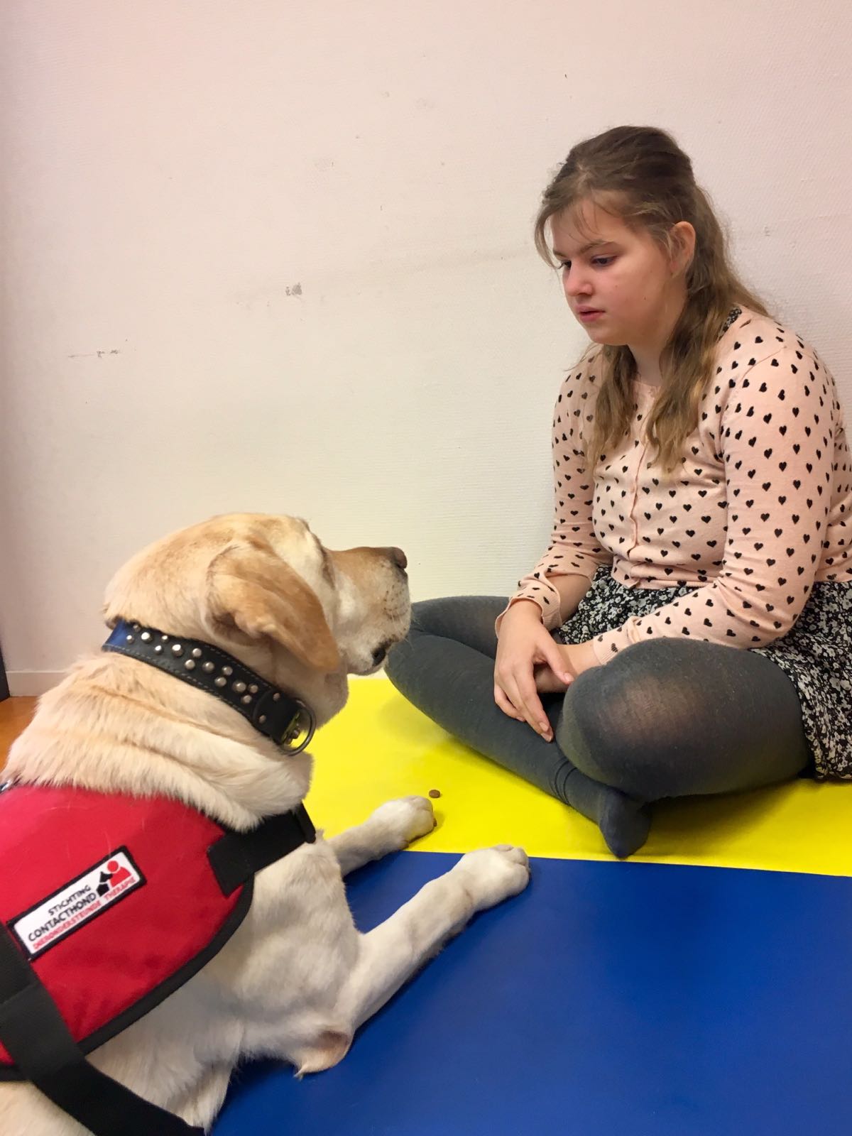 Geslaagd innovatieproject inzet therapiehonden bij communicatietherapie ...