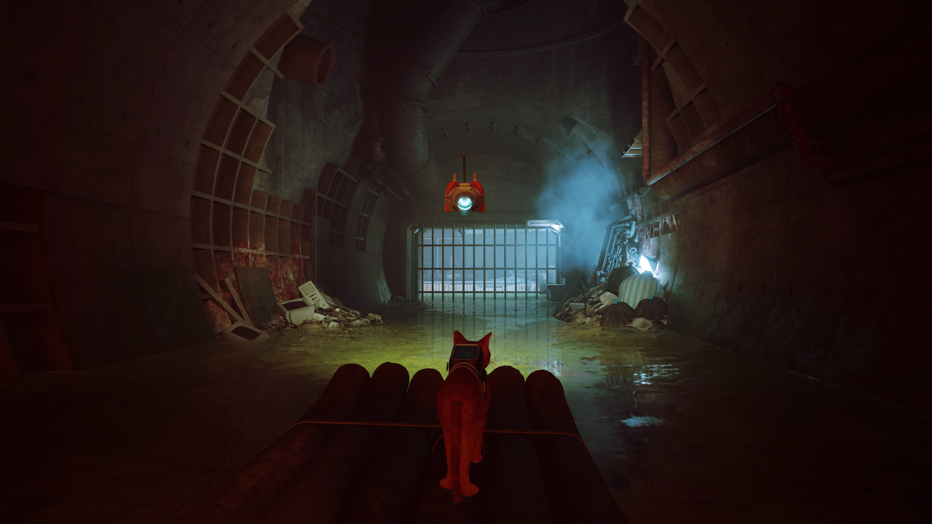 STRAY is at its best when you're just being a cat roving through the world