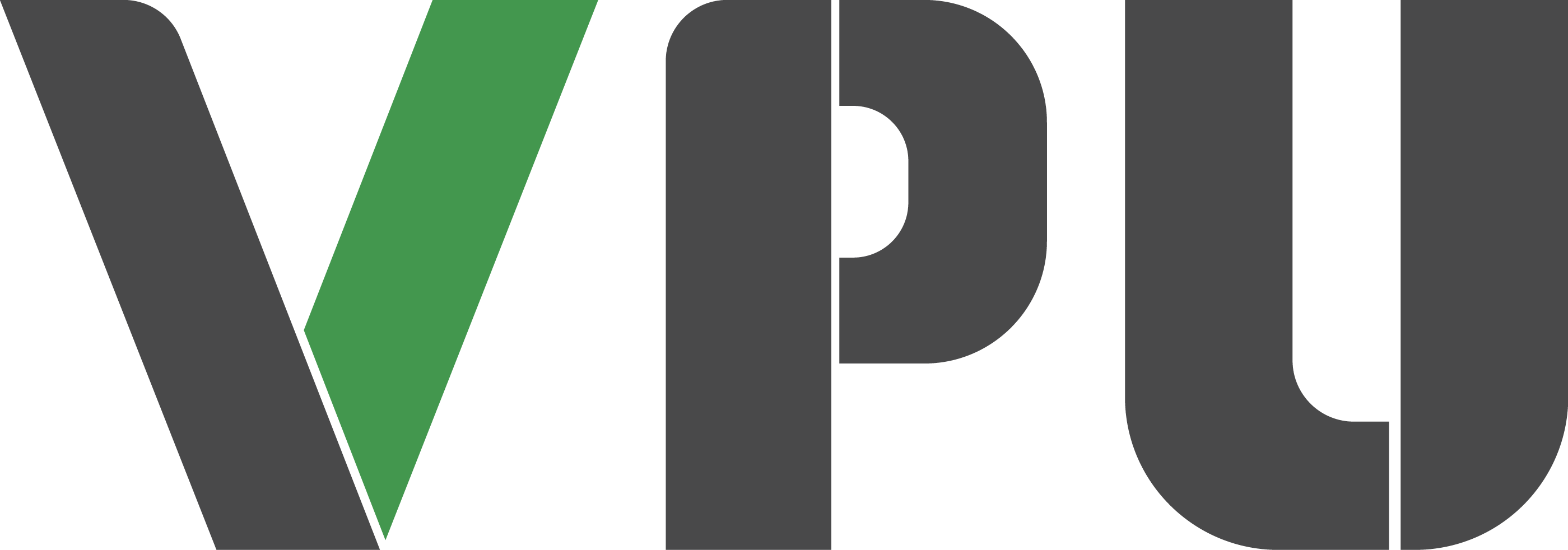 Meet Our IT Community | Puzl CowOrKing