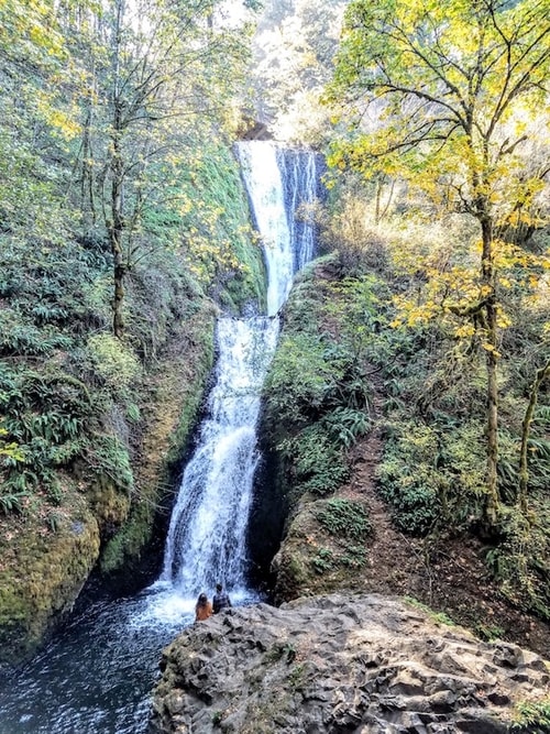 Willamette Valley Wine Tours from Portland/Multnomah Falls/Columbia ...