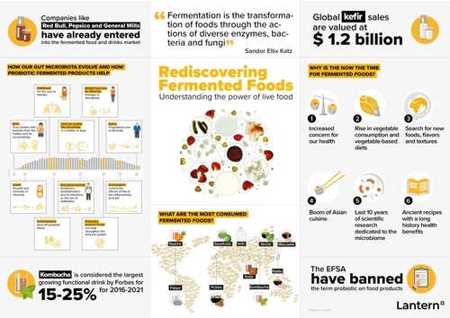 Lantern | Papers: Rediscovering fermented foods