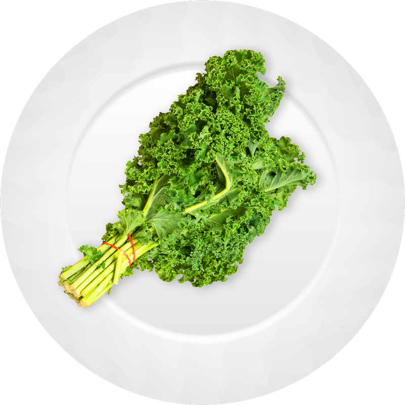 Vegan Restaurant London | Vantra London
