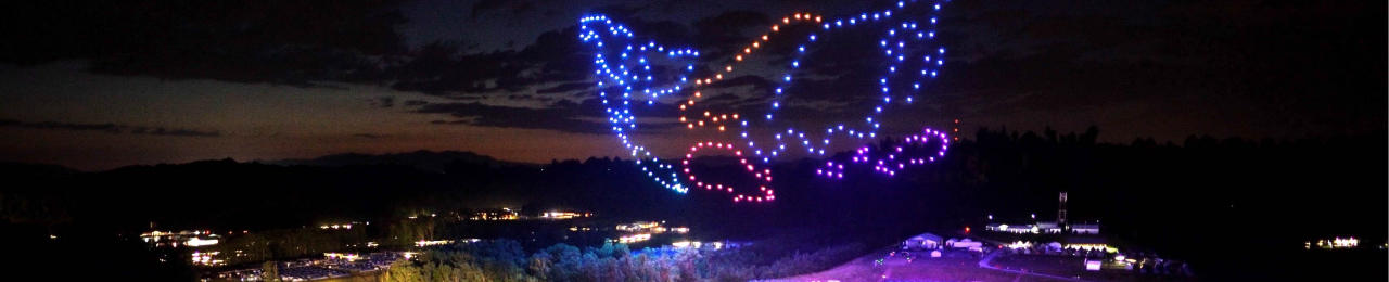 Swarm DNA - FireFly's Drone Light Show Spotlight