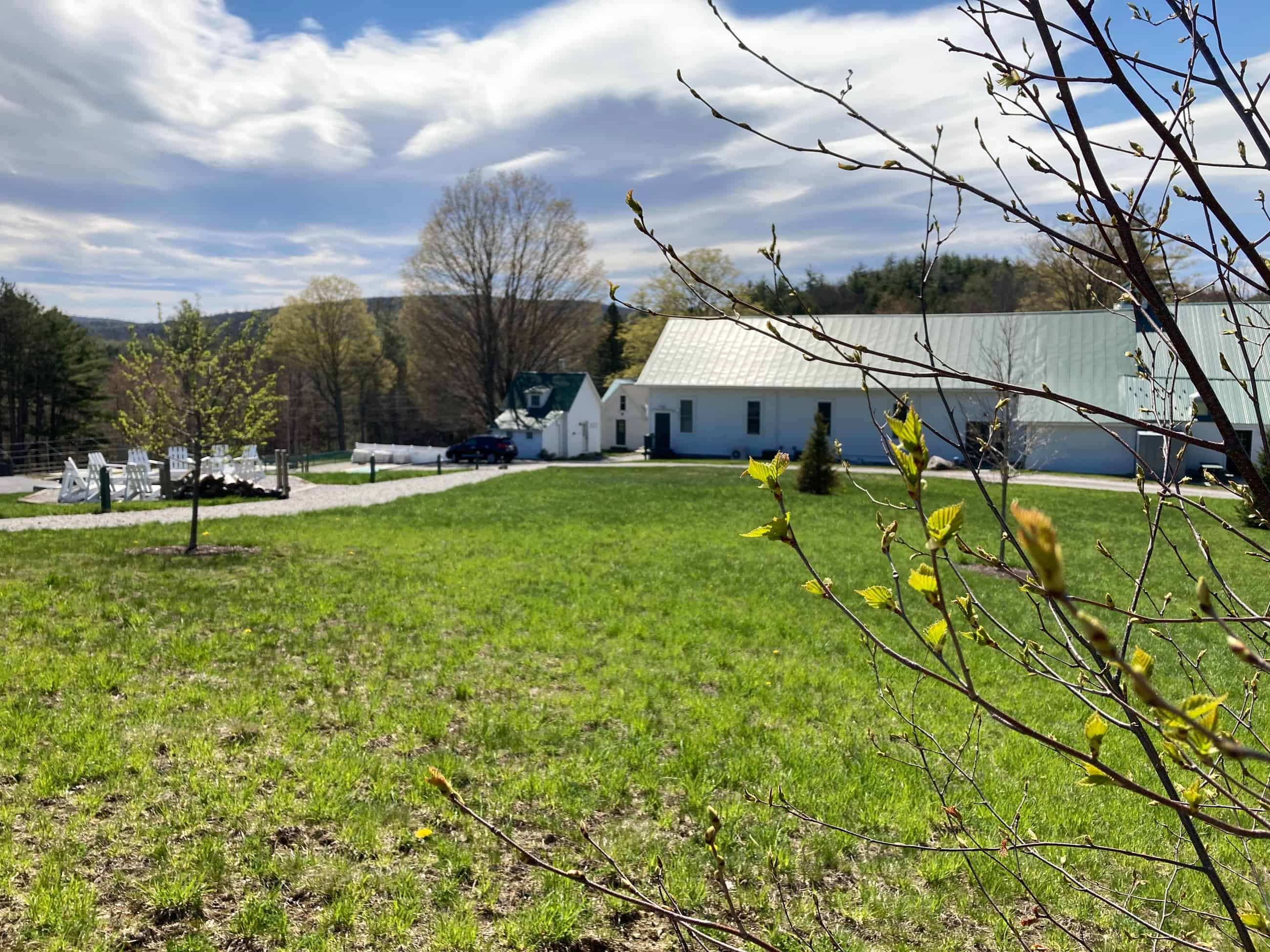 The Wilds of New England