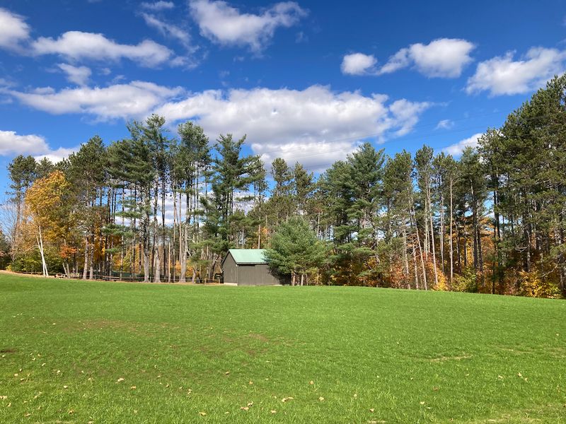 The Wilds of New England