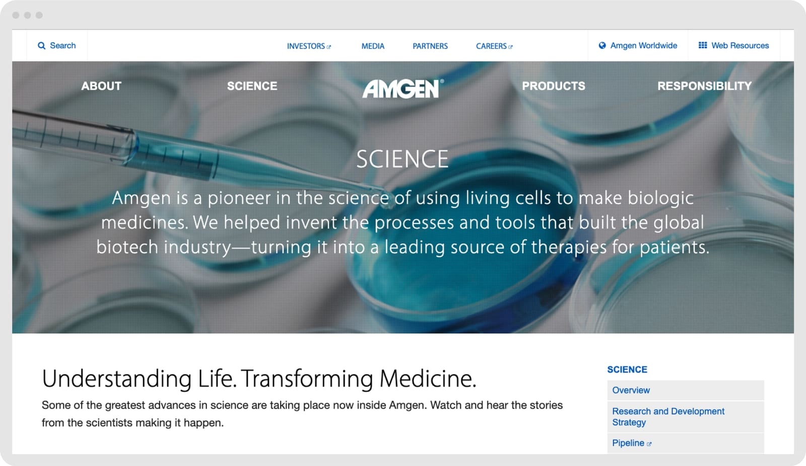 Cedarcode | Case Study Amgen