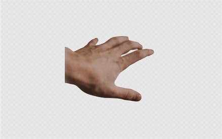 100 Transparent Background Hand PNG Image For Free 100 Transparent Background Hand PNG Image For Free