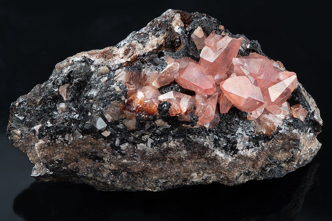 +100 Pink Things in Nature: Plants, Animals and Minerals - Eggradients.com