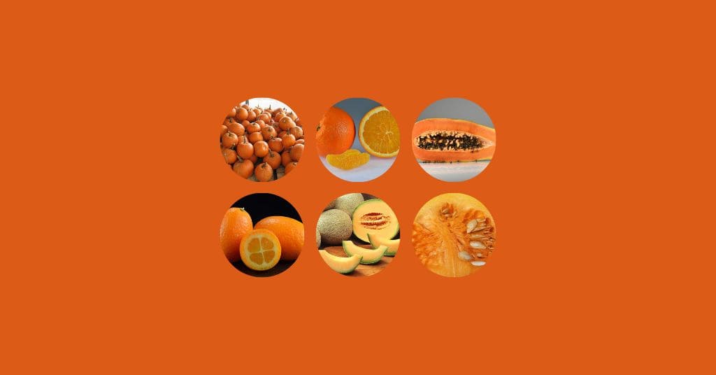 +90 Orange Things: A Glamorous Journey in Nature's Mandarin Tones ...