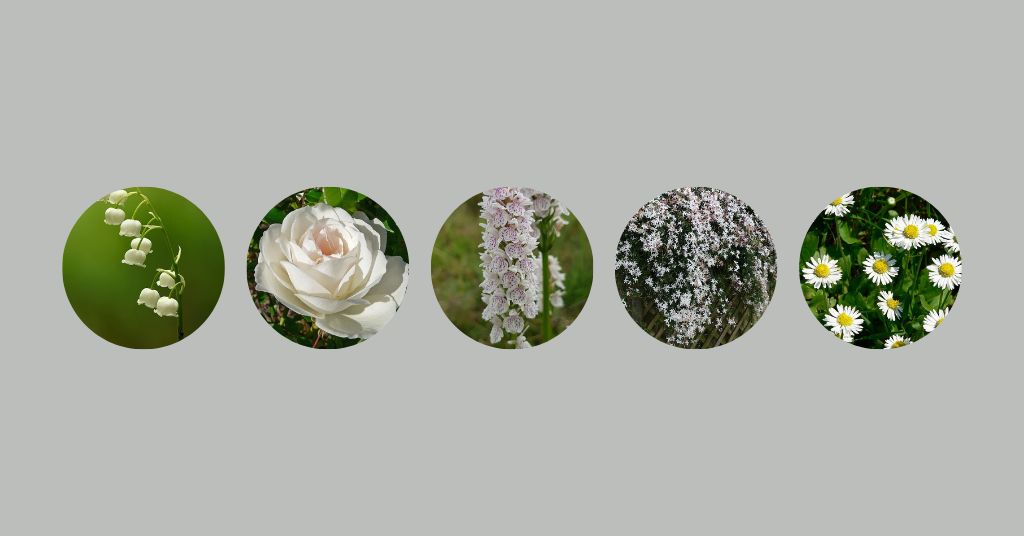 White Things Around Us: 110 Natural Objects to Spark Your Curiosity ...