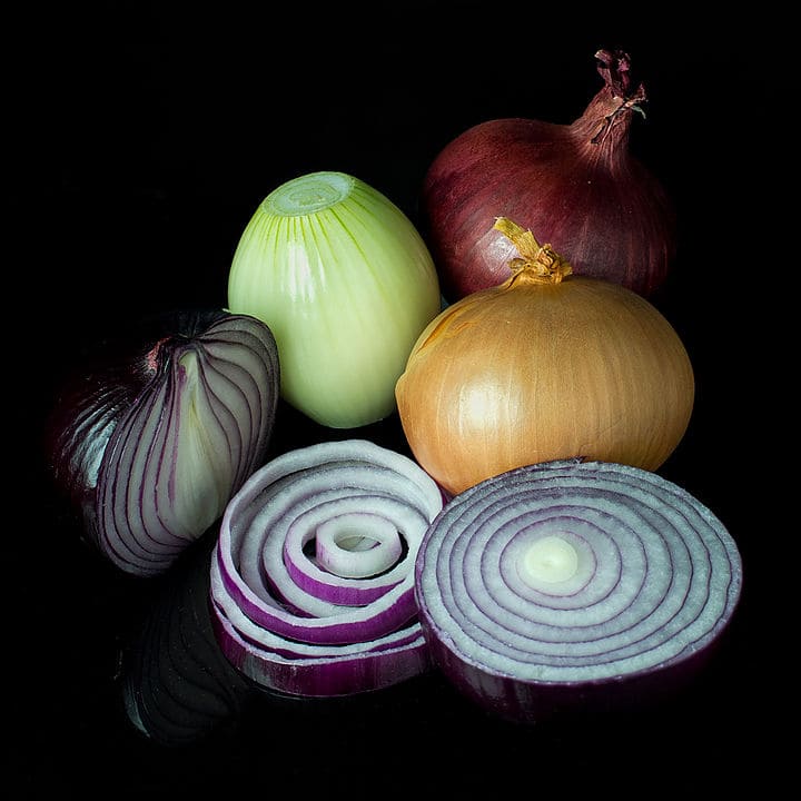White Things Around Us: 110 Natural Objects to Spark Your Curiosity ...