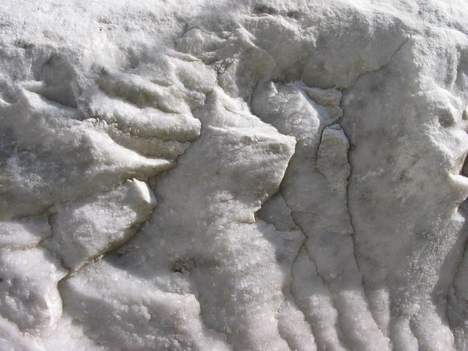 White Things Around Us: 110 Natural Objects to Spark Your Curiosity ...
