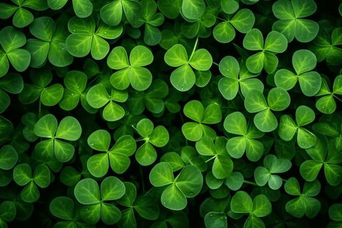 Green Gradient: +66 Background Gradient Colors with CSS