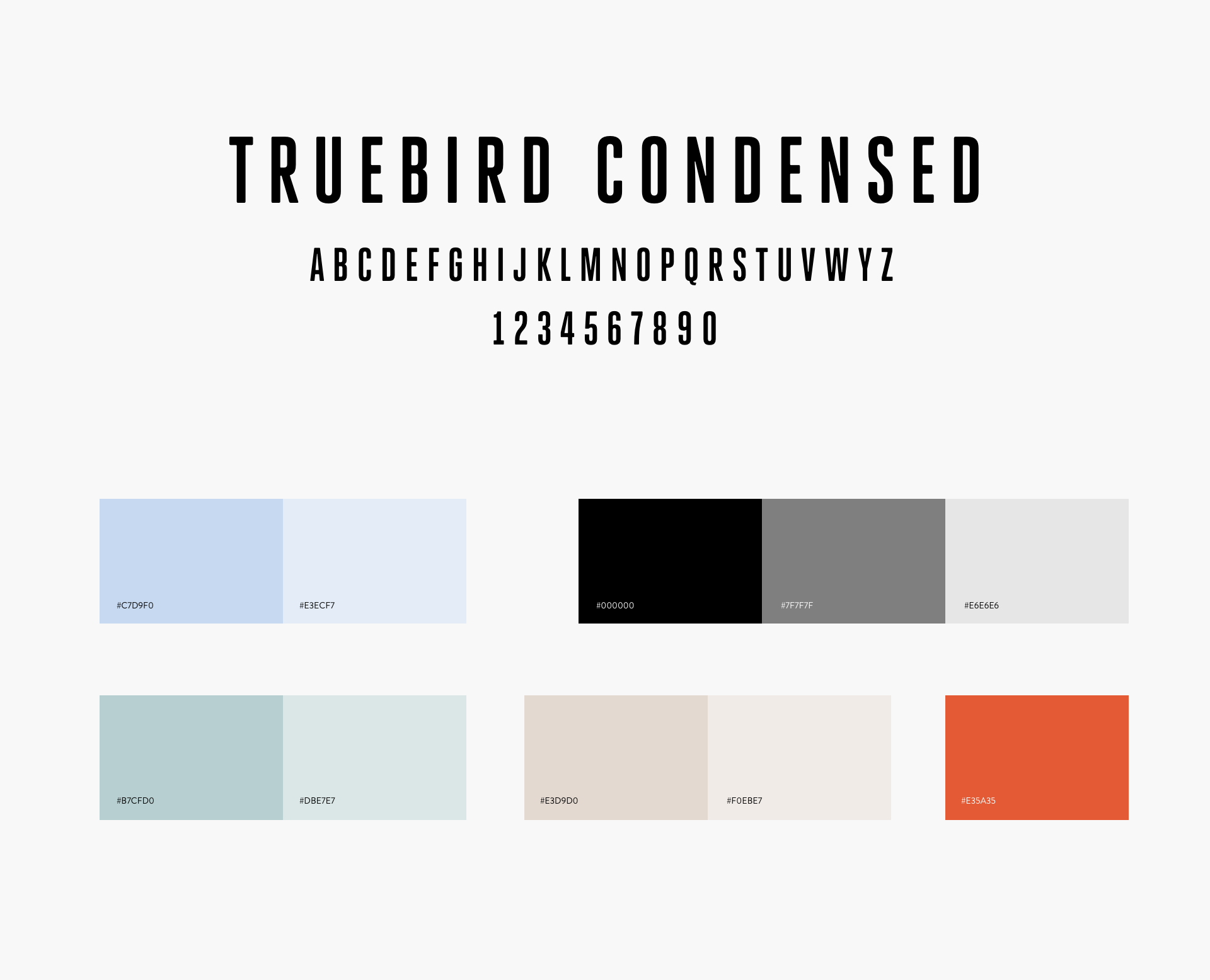 Truebird Coffee Co.