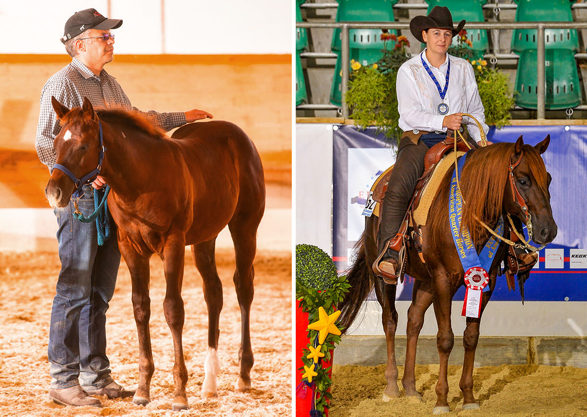 Q-Stables • Das QS-Team