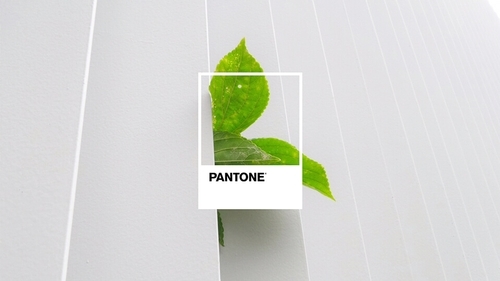 Die Macht der Typografie – Blog – Daniel Schaffer Grafikdesign