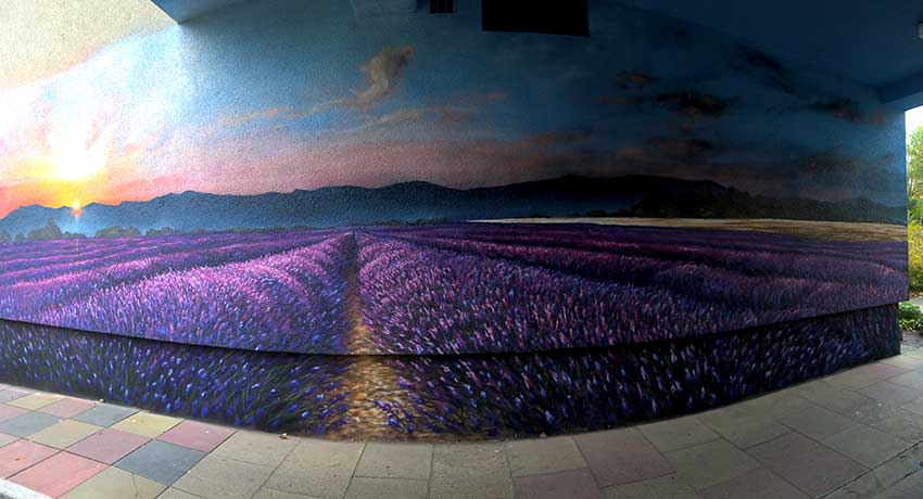 Unity Murals - Custom artwork with an urban appeal.