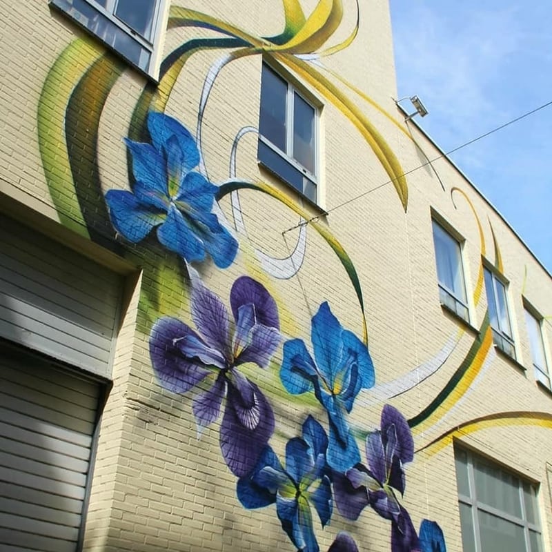 Unity Murals - Professional Mural Artists