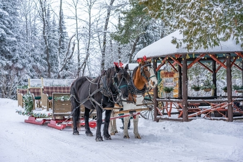 Lantern-lit Adirondack Sleigh Ride Experience | Lake Clear Lodge & Retreat