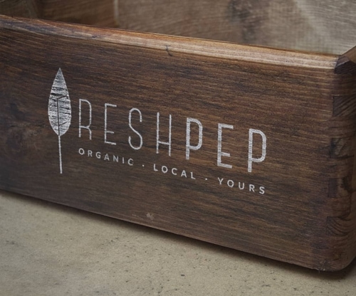 freshpep – symbol and logo design – LET'S PANDA