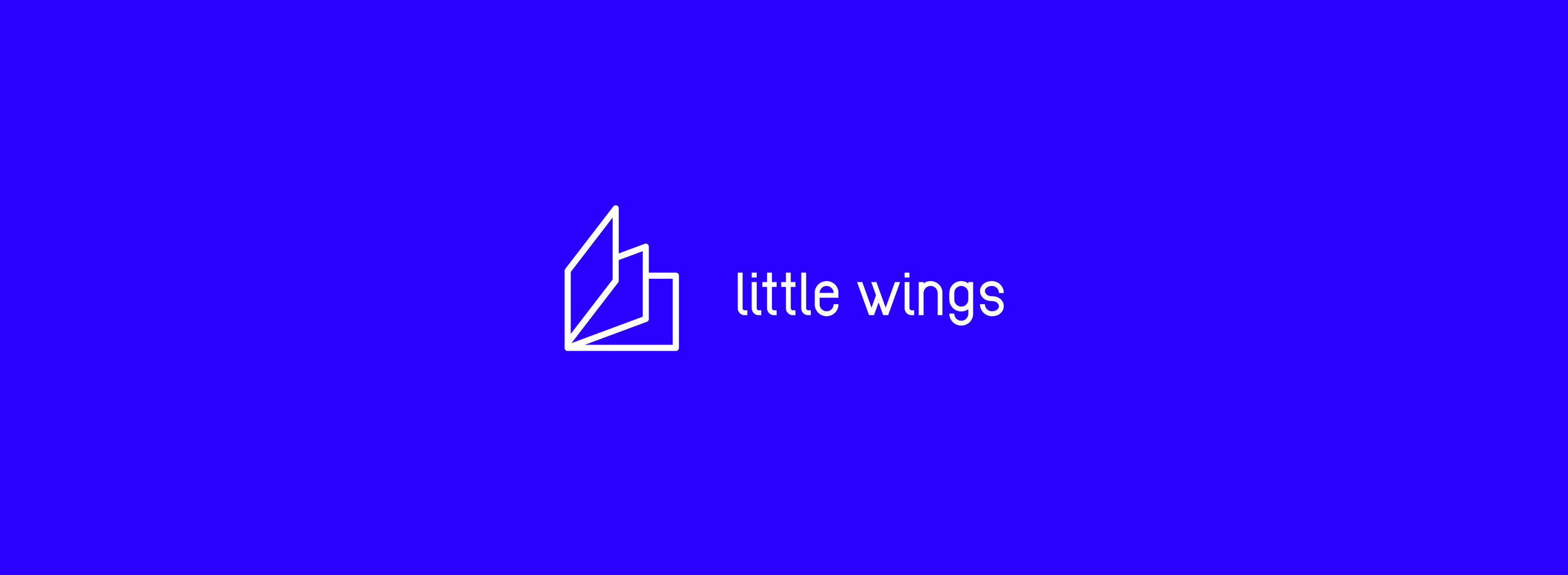 little wings – Branding and Visual Identity – LET'S PANDA