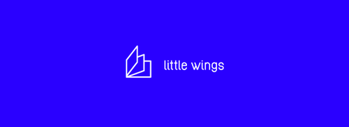 little wings – Branding and Visual Identity – LET'S PANDA
