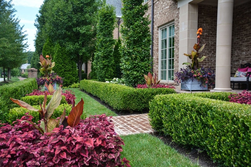 McCullough's - Grotto