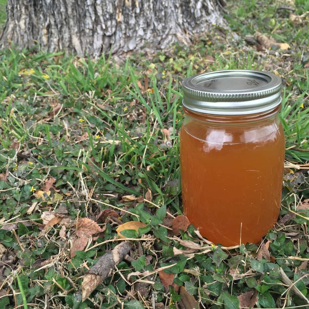 How to Make Your Own Delicious Kombucha in 7 Days - Nat Eliason