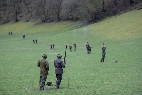 Exclusive Game Shooting Days | West Midlands, UK