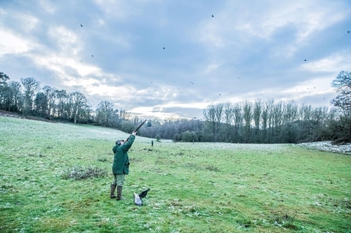 Exclusive Game Shooting Days | West Midlands, UK