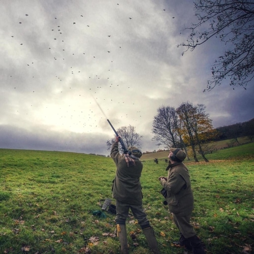 Exclusive Game Shooting Days | West Midlands, UK