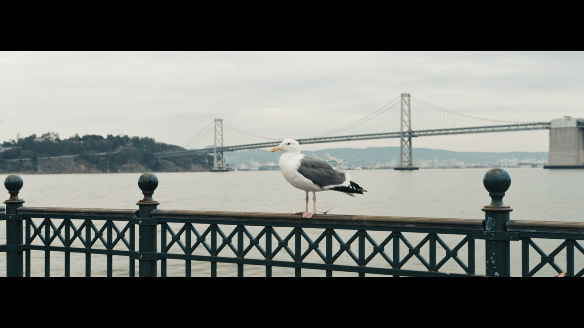 Salient Film