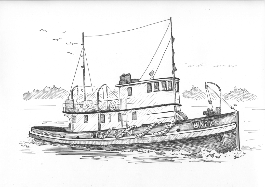 Kim's Nature Drawings