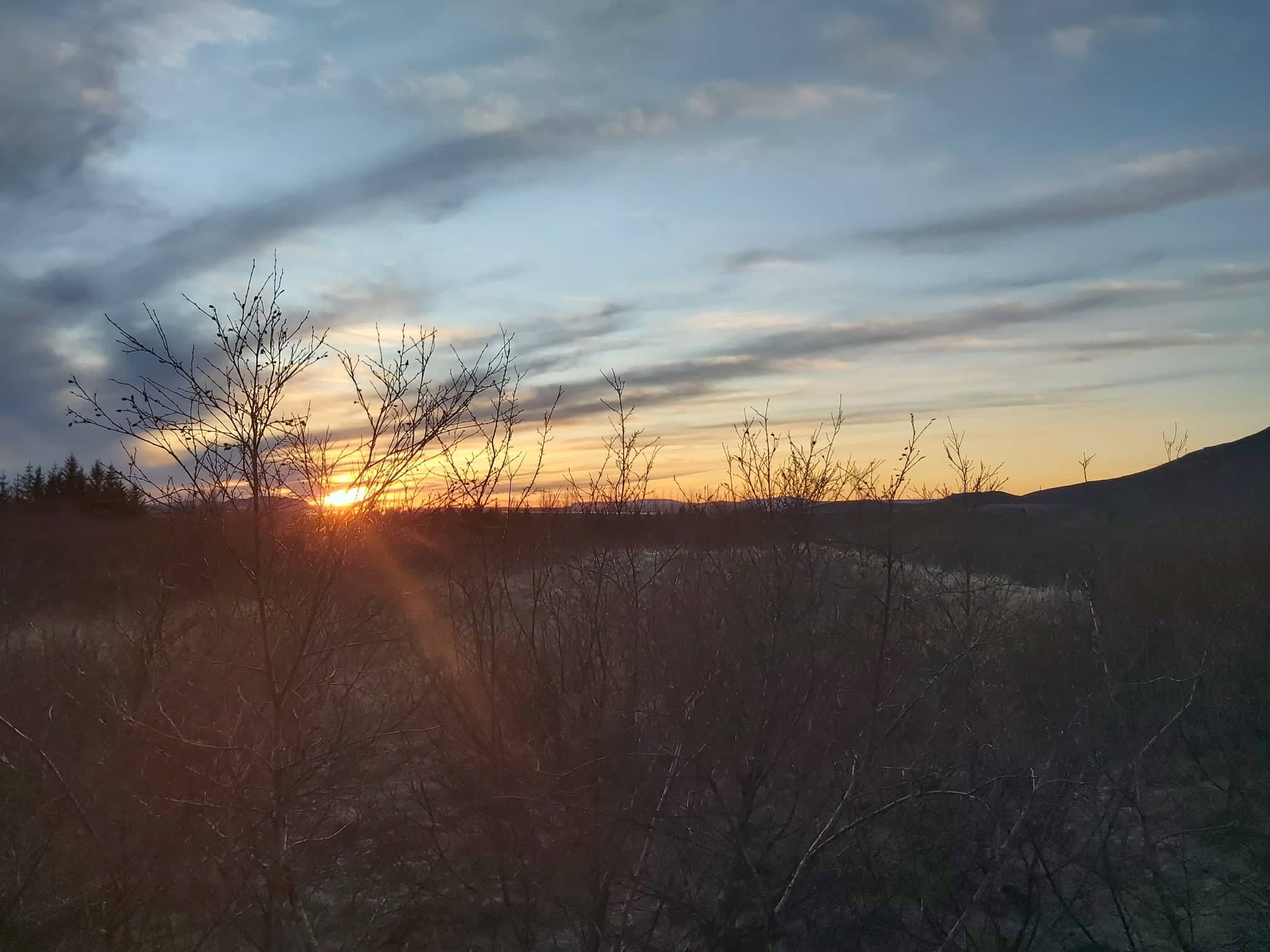 Framboð í stjórn Snigla 2021