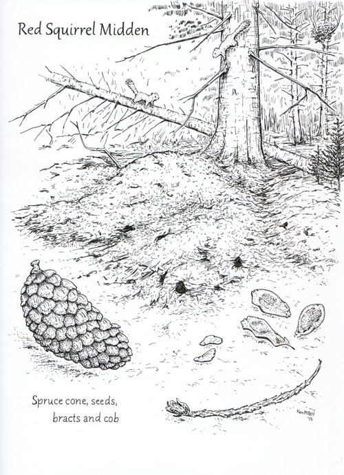 Ecology and Landscape — Drawings