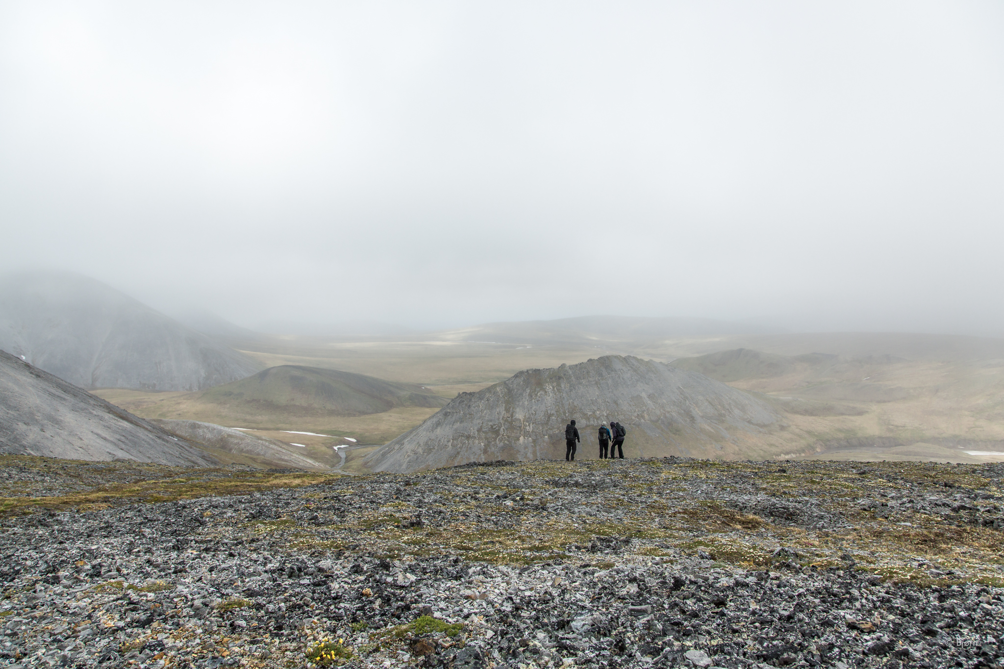 Arctic Coast — Journals