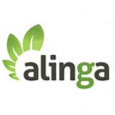 Alinga Web Design - Webflow