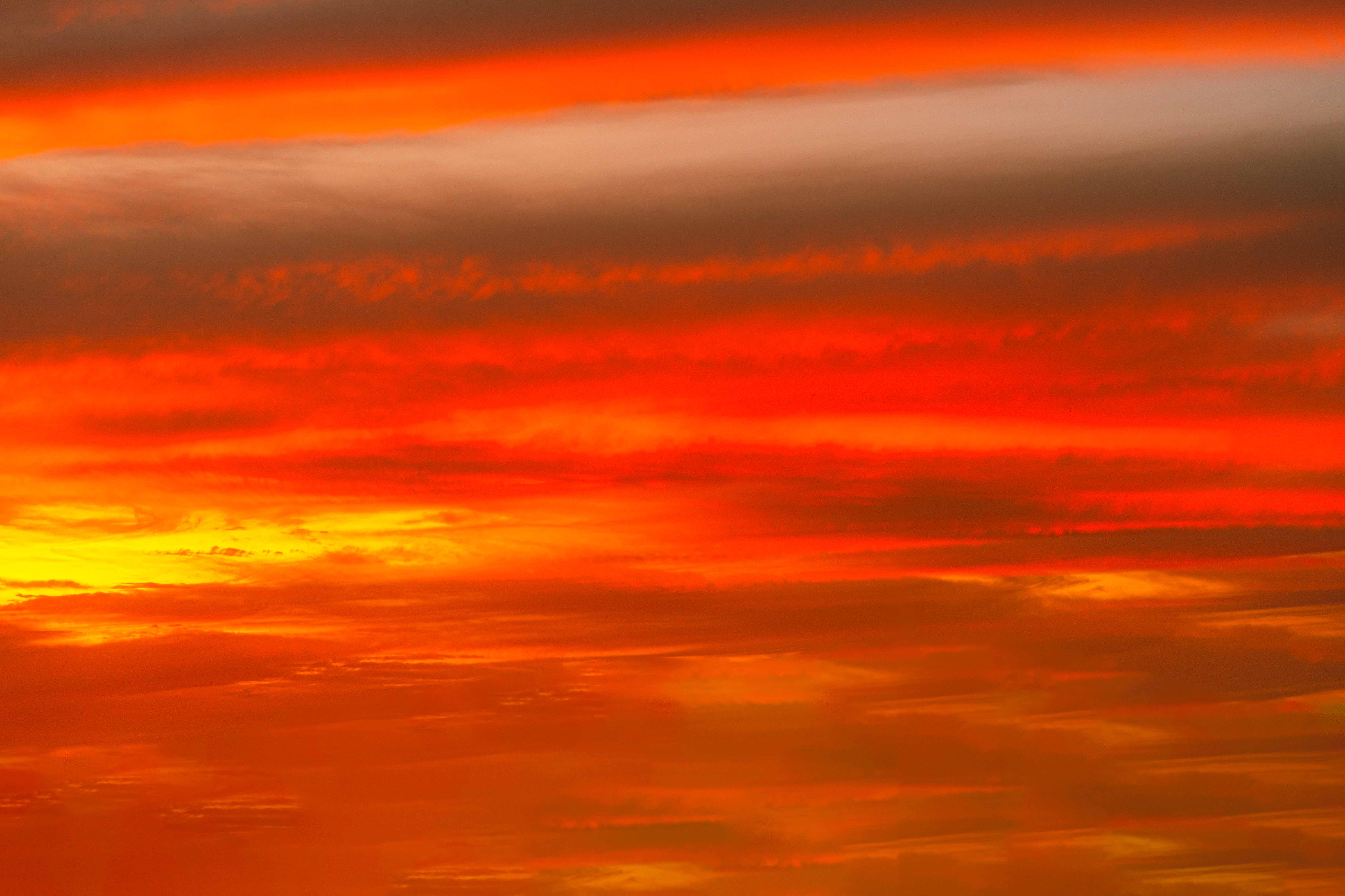 Tyson Bennett | Graphic Designer