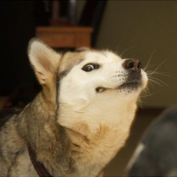 Christian Boe - Webflow